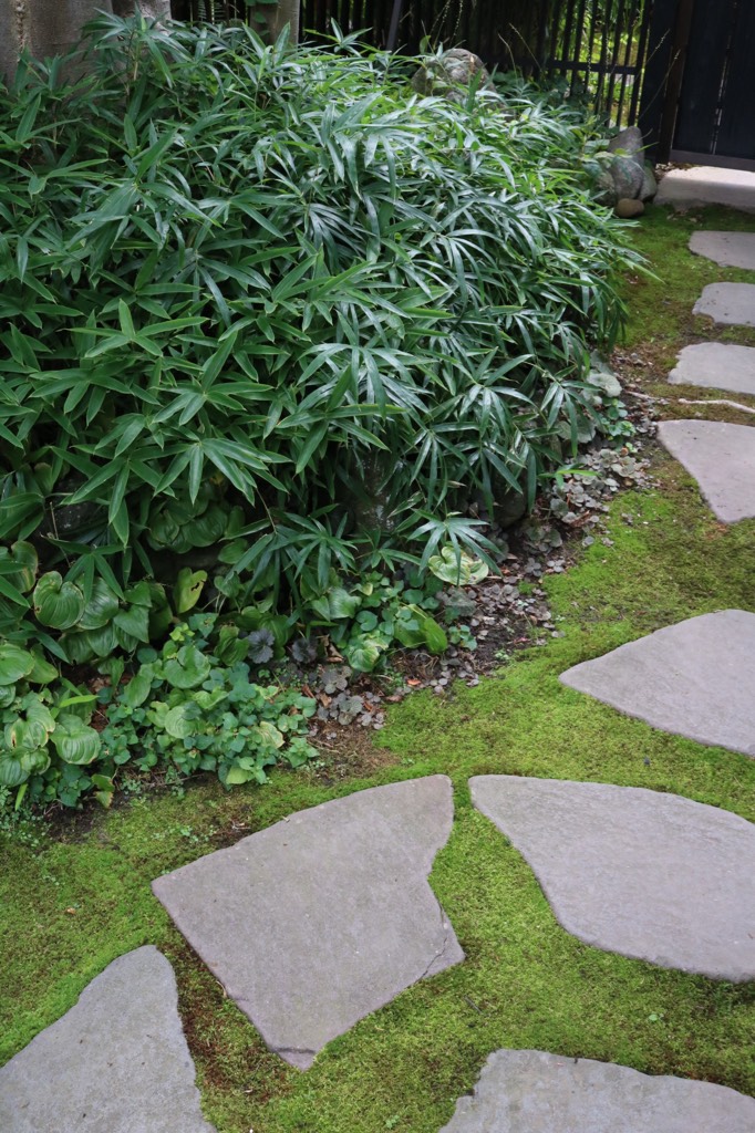 Masaki's diary – ページ 34